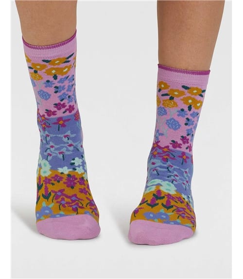 Womens Wool Socks | WoolOvers UK