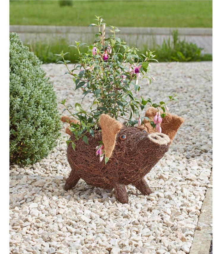 Pig | Large Funimal Planter | WoolOvers UK