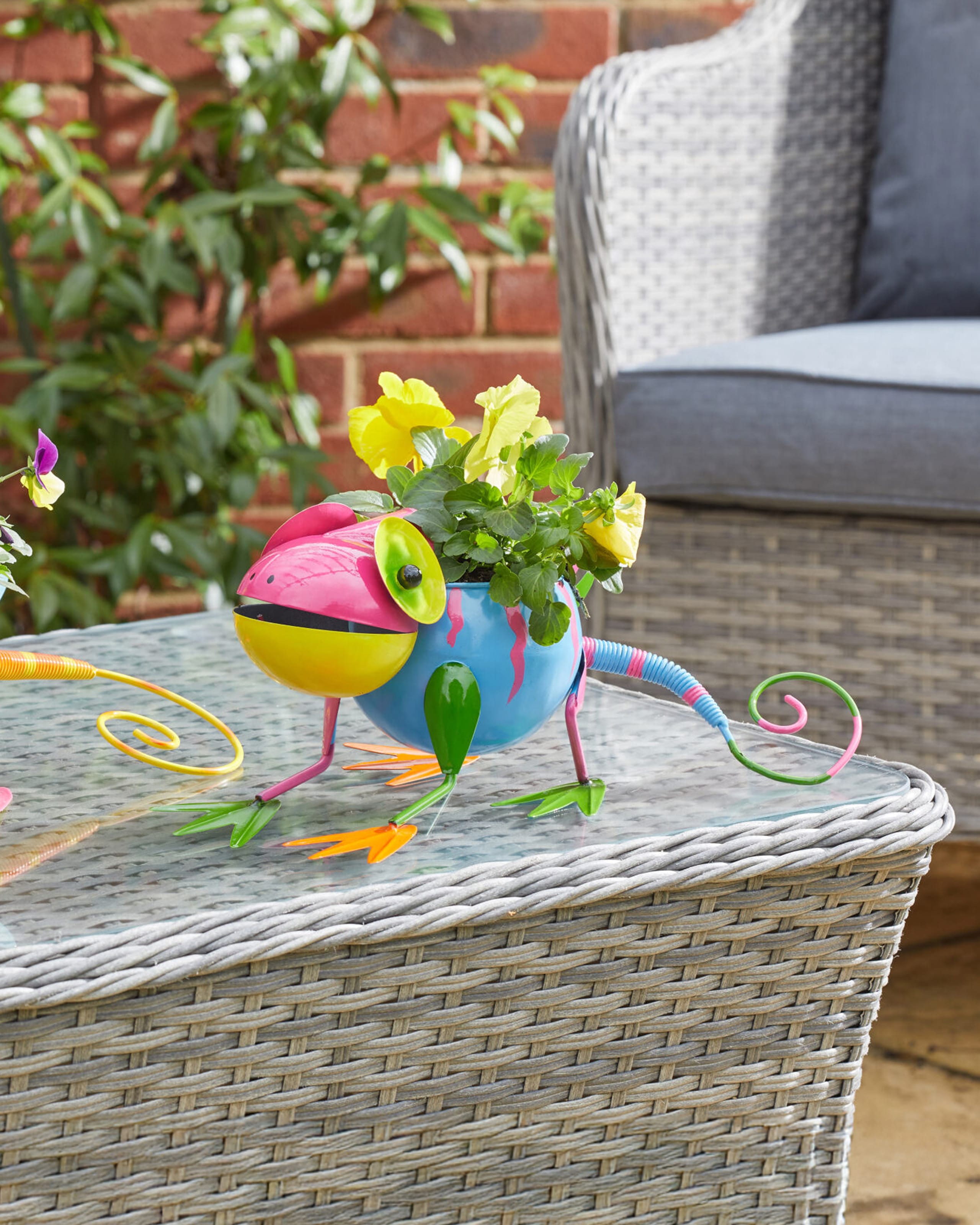 Multi Blue | Gecko Pots | WoolOvers UK