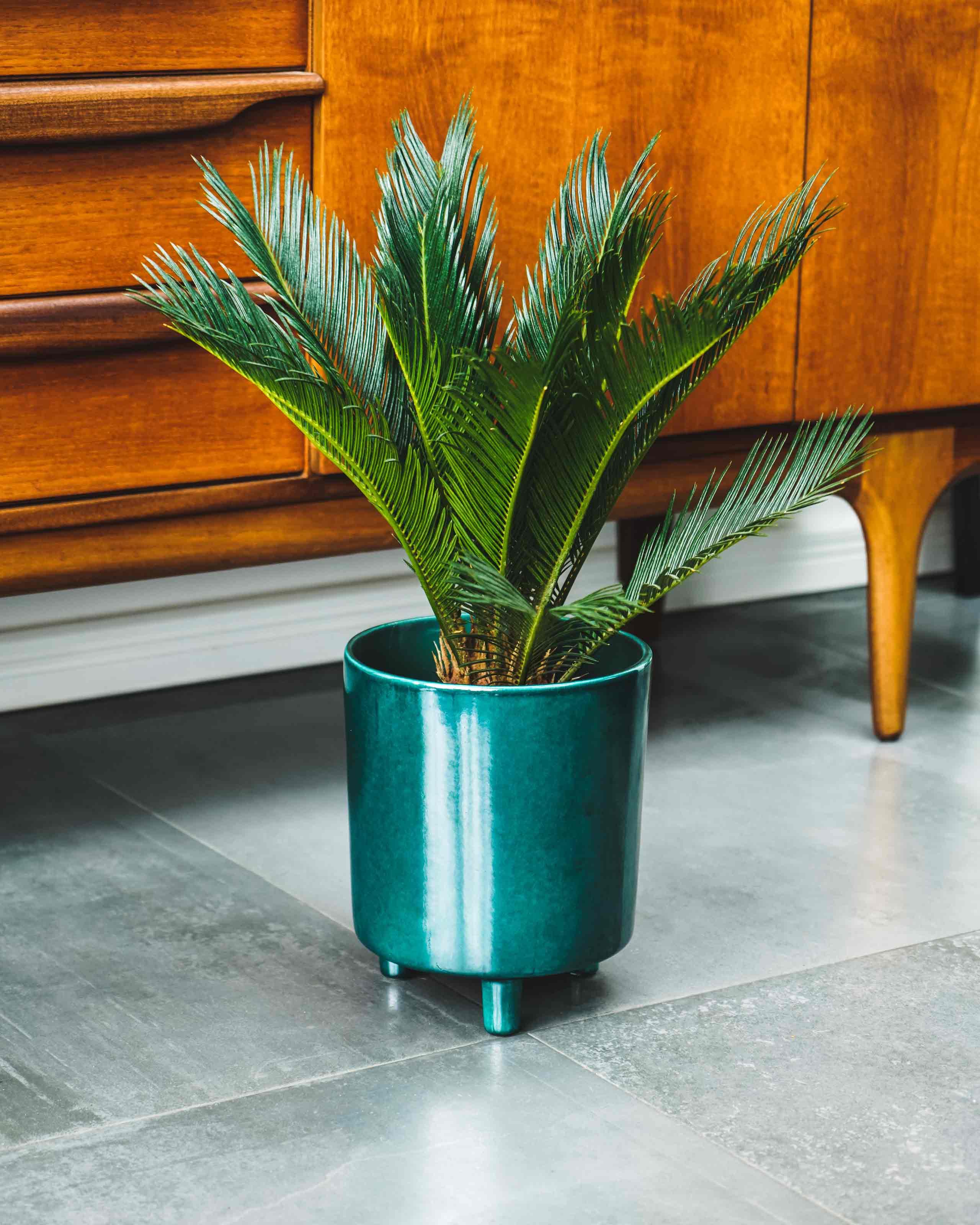 Emerald | Pisa Indoor Planter | WoolOvers UK