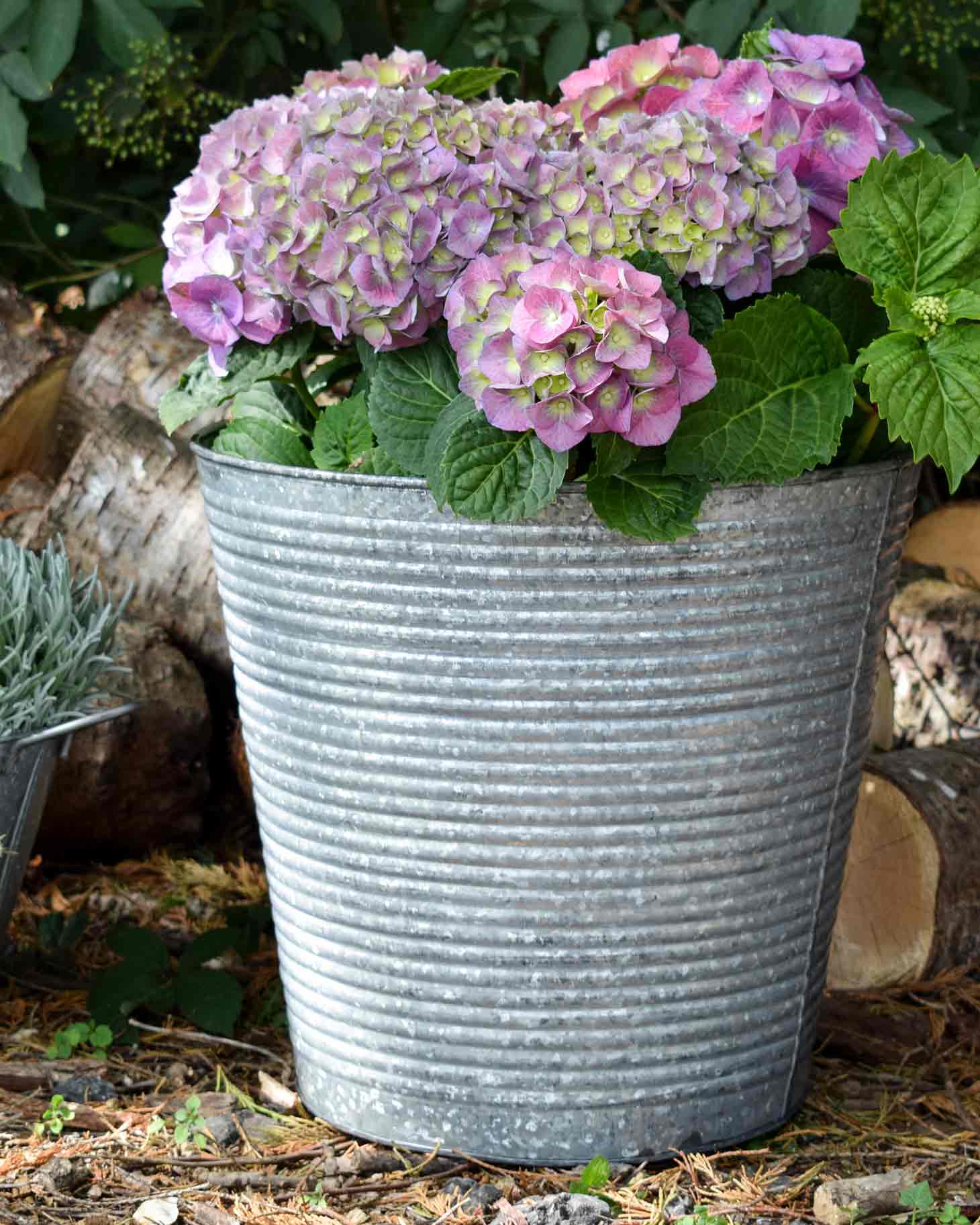 Galvanised | Ribbed Galvanised Planter | WoolOvers UK