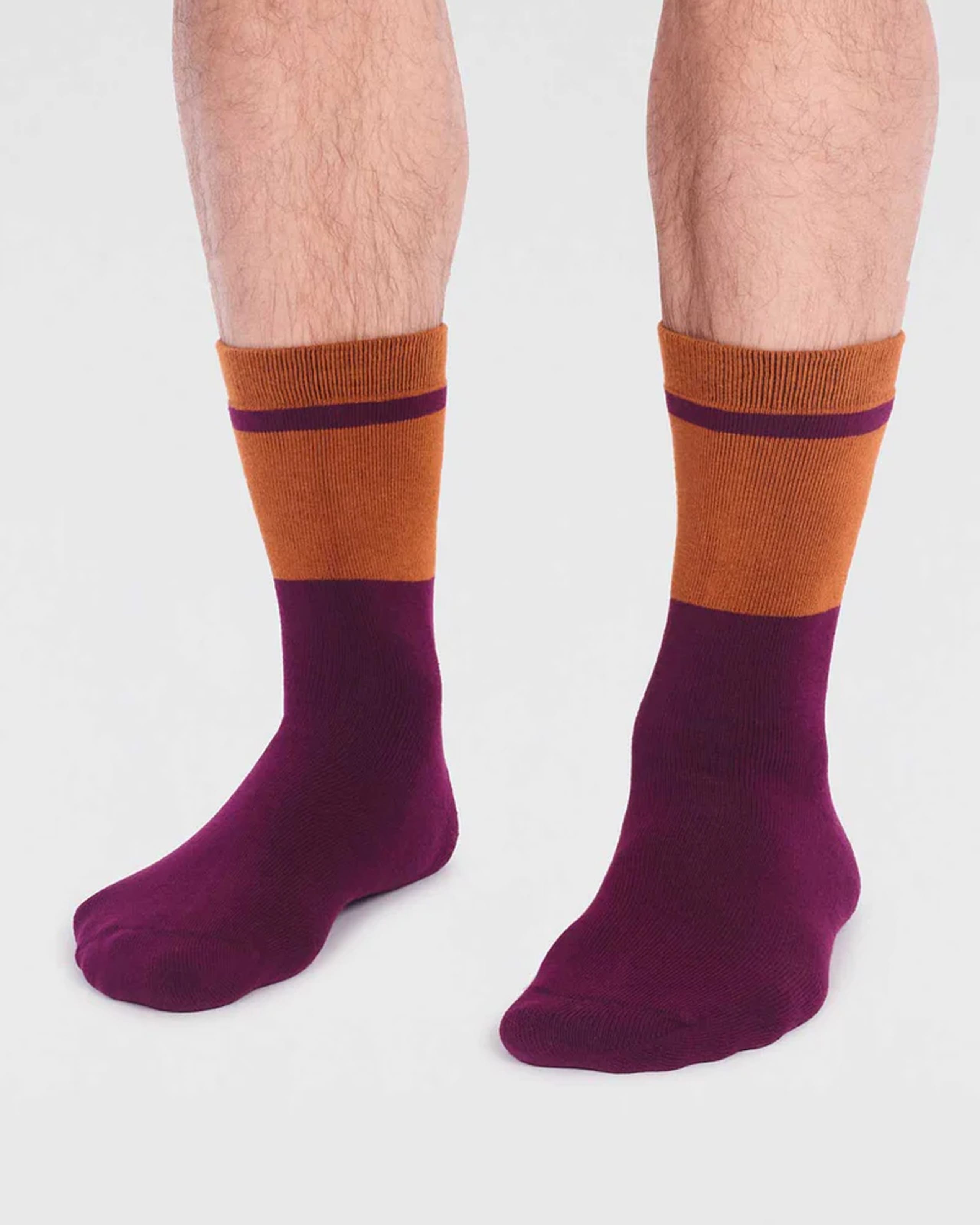 Golden Yellow | Gordon Organic Cotton Plain Walker Socks | WoolOvers US