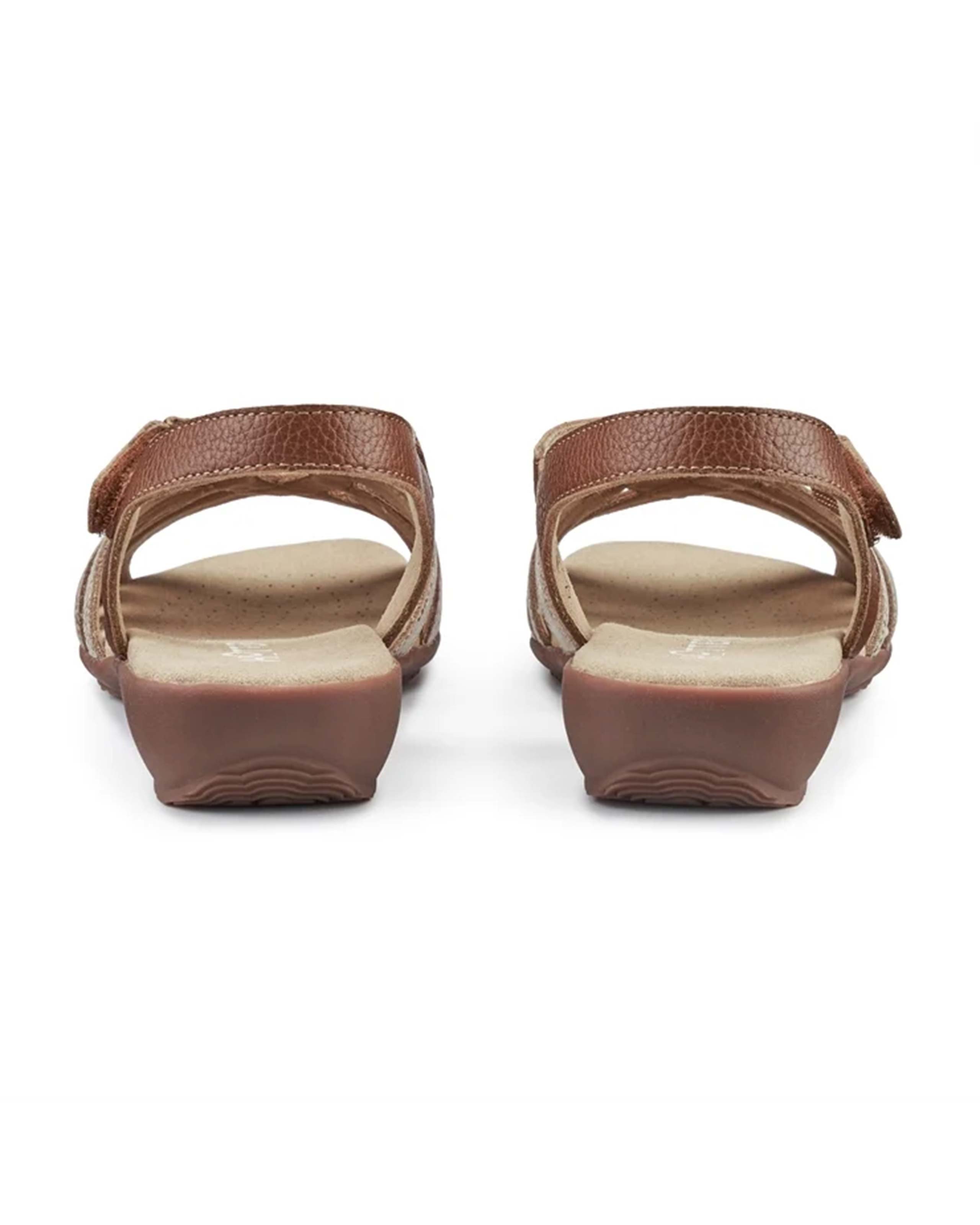 Rich Tan Reptile Multi | Hotter Flare | WoolOvers UK