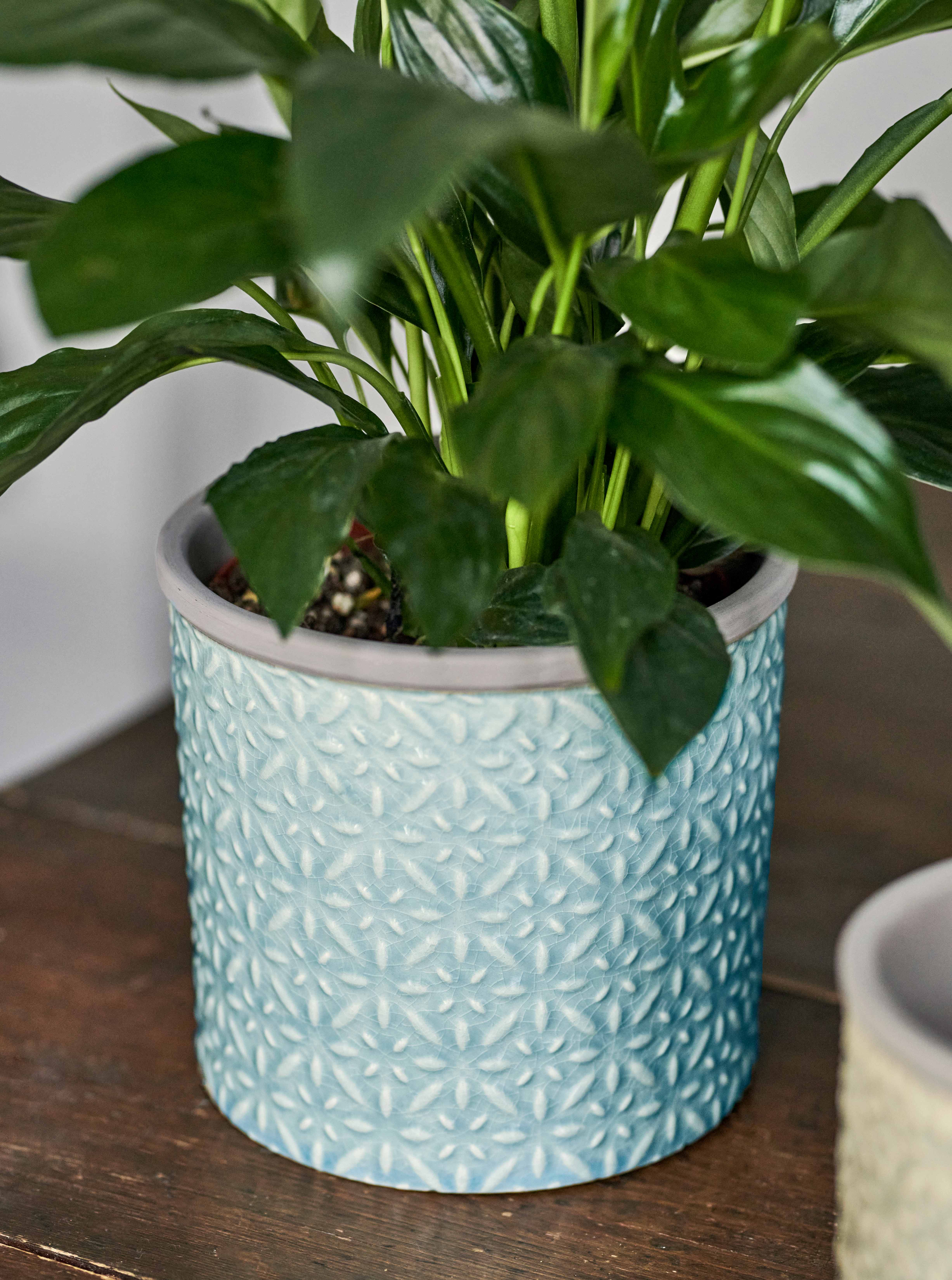 Home | Planters & Pots