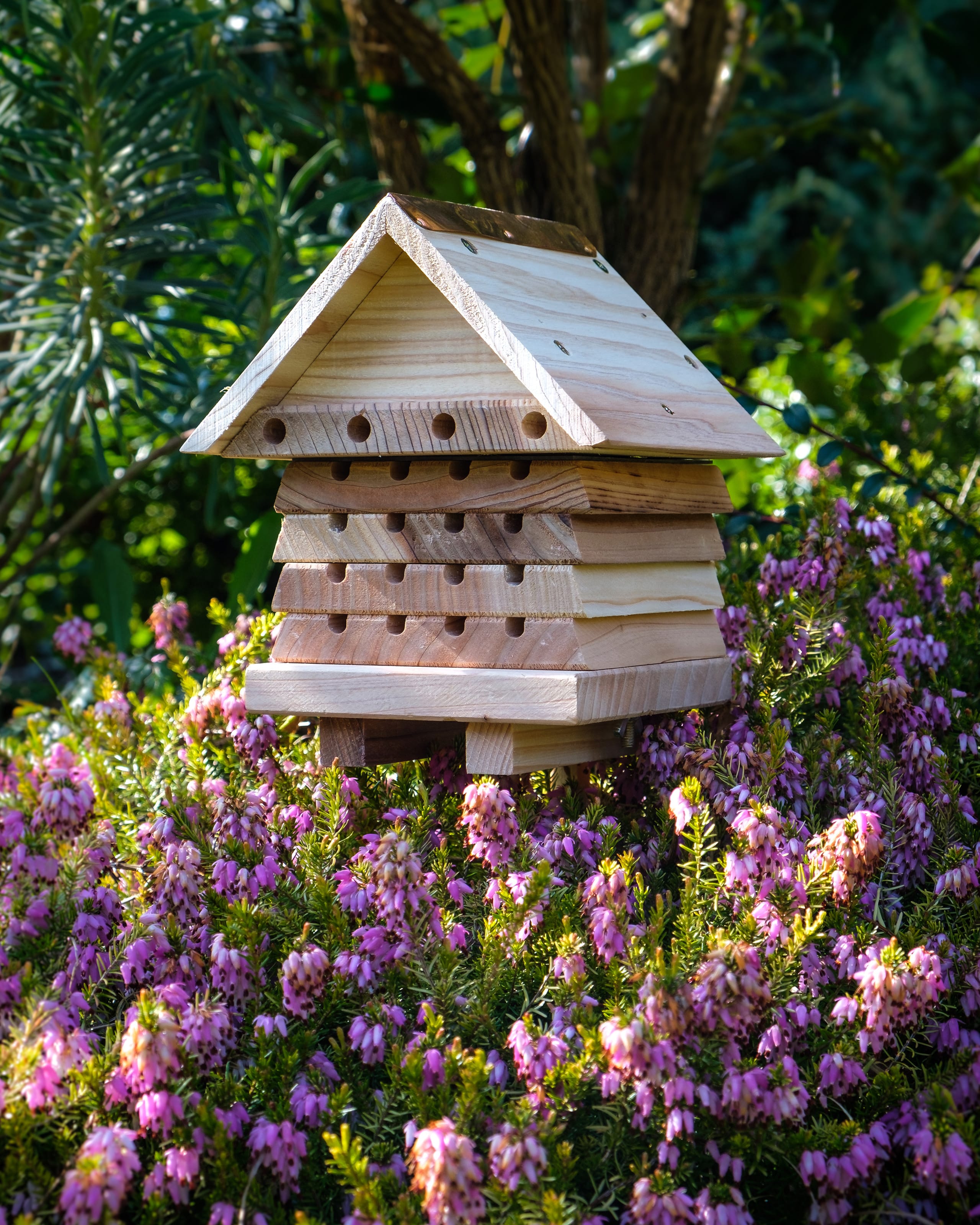 Natural | Interactive Bee Hive | WoolOvers UK
